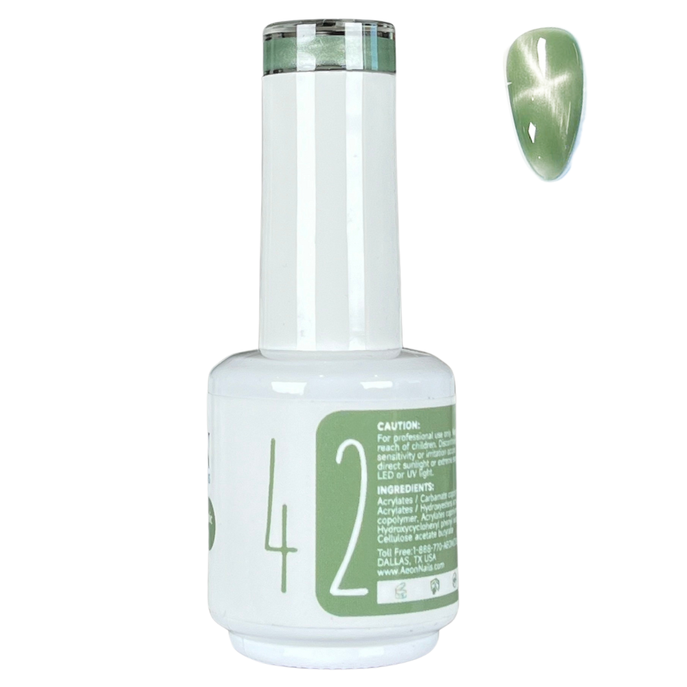 AEON NUDE SHADE CERAMIC CAT EYE GEL 15ml #42 – Luminous Beauty Supply